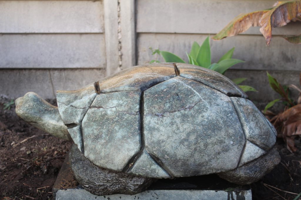 Hand Carved Stone Tortoise – AVAC Arts